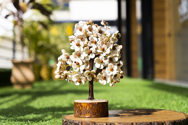 Buy Gomti chakra and Rudraksha tree Online From Premium Crystal Store ...